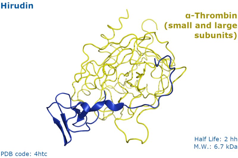 Recombinant hirudin (Thrombin Inhibitor), 16'000 ATU ( Anti-Thrombin