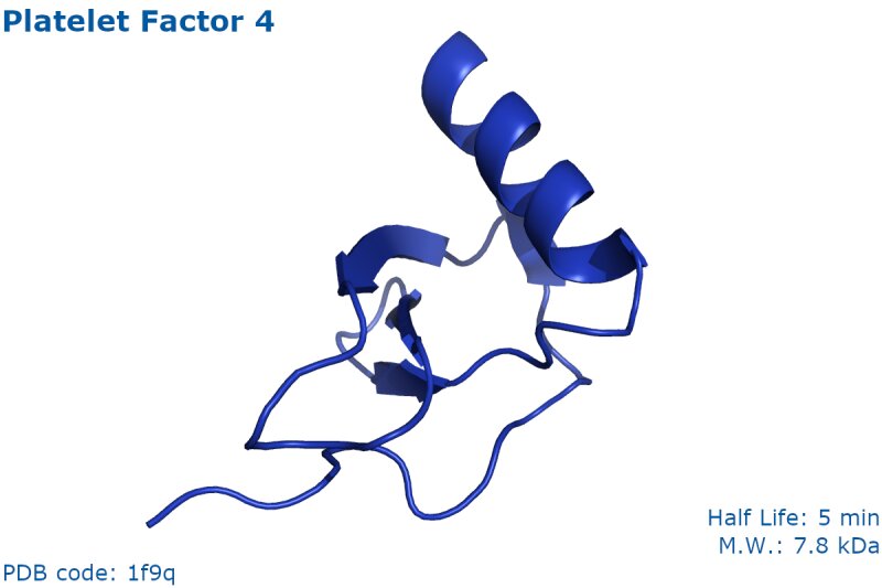 Facteur plaquettaire 4 (PF4) humain purifié lyophilisé